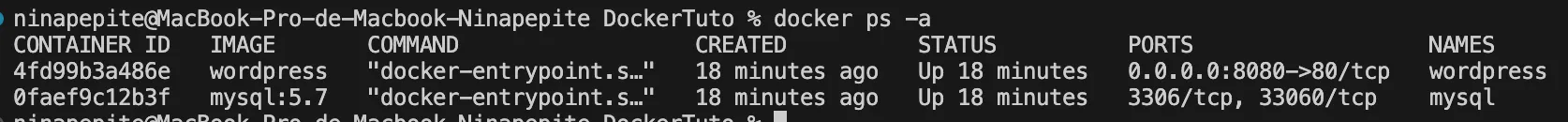 docker compose : guide complet et exemples pratiques | CivilisationIT